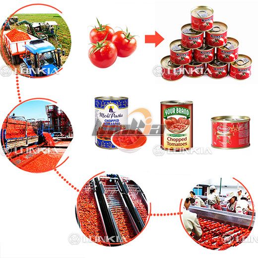 Full Automatic Tomato Canning Processing Line - LONKIA Machinery